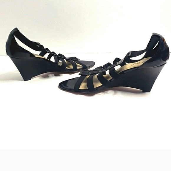 Ellen Tracy | Shoes | Ellen Tracy Janson Strap Wedge Sandal Size 8 ...